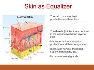 Body Functions :Temperature | PPTX