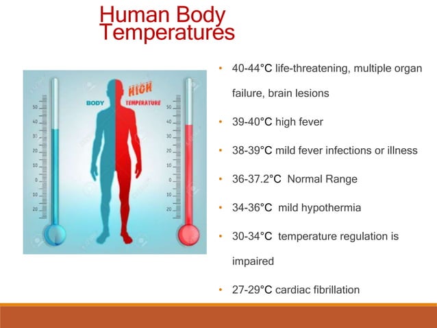 Body Functions :Temperature | PPTX