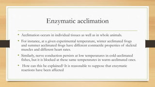 Temperature and animal energetics | PPTX
