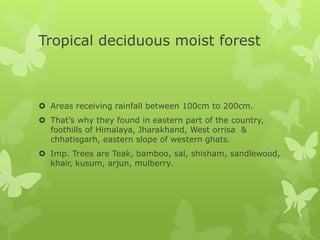 Temperature characteristic of the vegetation zone | PPTX