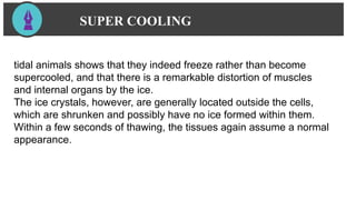 Temperature effects on animal physiology | PPTX