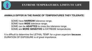 Temperature effects on animal physiology | PPTX