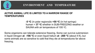 Temperature effects on animal physiology | PPT
