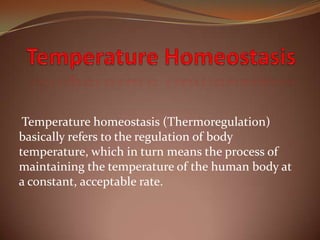 Body Temperature Homeostasis