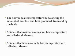 Body Temperature Homeostasis