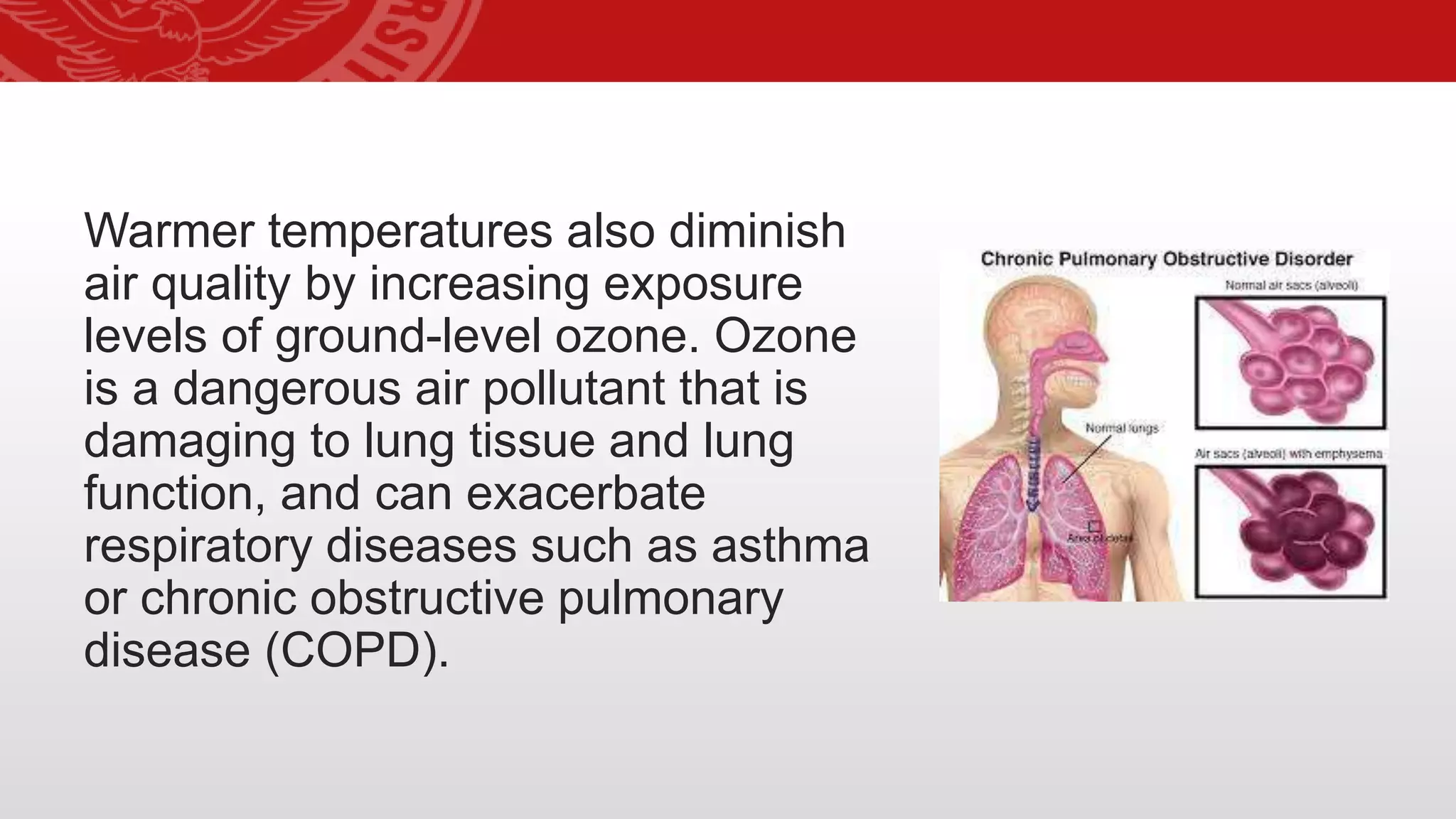Temperature, humidity and wind relevant to weather | PPTX