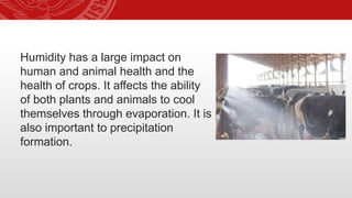 Temperature, humidity and wind relevant to weather | PPTX