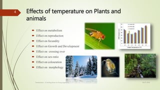 Limiting Factor With Animals