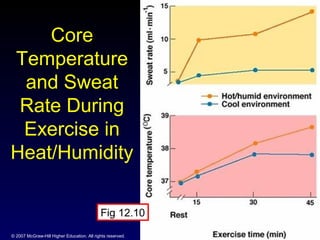 FISIOLOGI SENAM Temperature regulation | PPT | Free Download