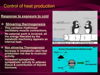 Temperature regulation | PPT