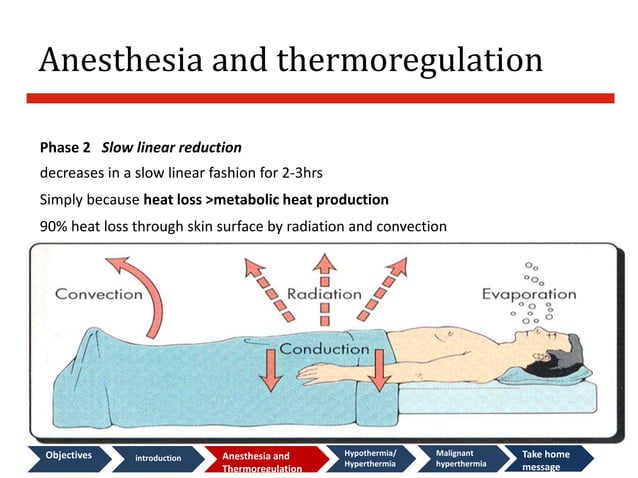 temperature regulation under anesthesia.ppt | First Aid | Injuries