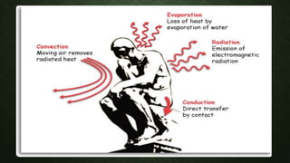 TEMPERATURE REGULATION AND MONITORING-1.pptx