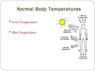 Temperature regulation by skin | PPT