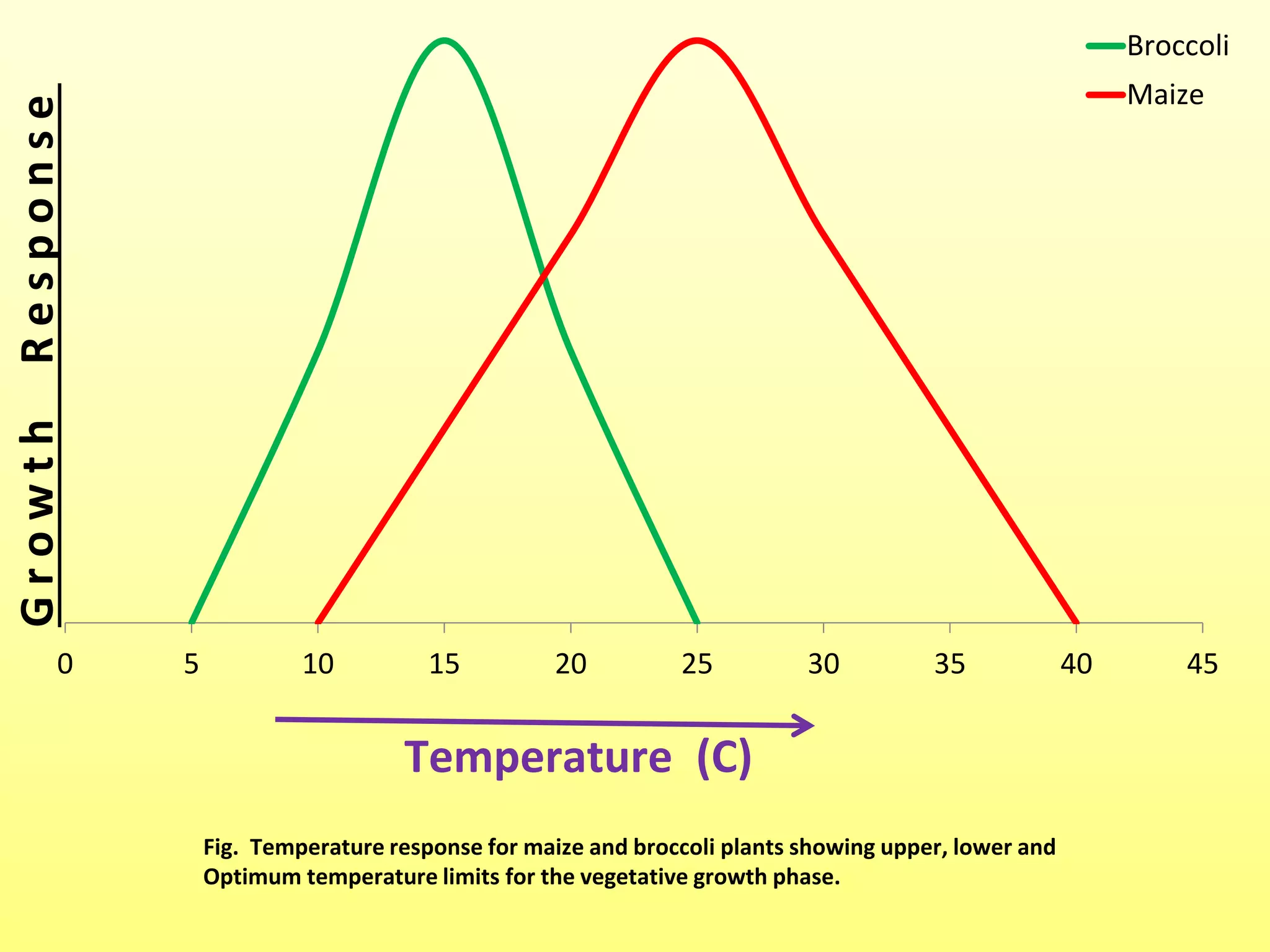 Some examples of Pi chart, histogram, bar graph, line graph for ...