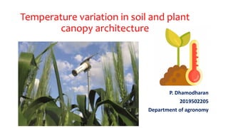 Temperature variation in soil and plant canopy architecture | PPTX