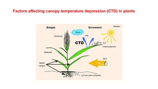 Temperature variation in soil and plant canopy architecture | PPTX