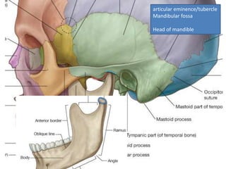 Temperomandibular joint | PPTX | Death, Injury, or Military Conflict ...