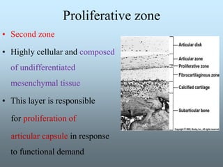 TEMPEROMANDIBULAR JOINT.pptx
