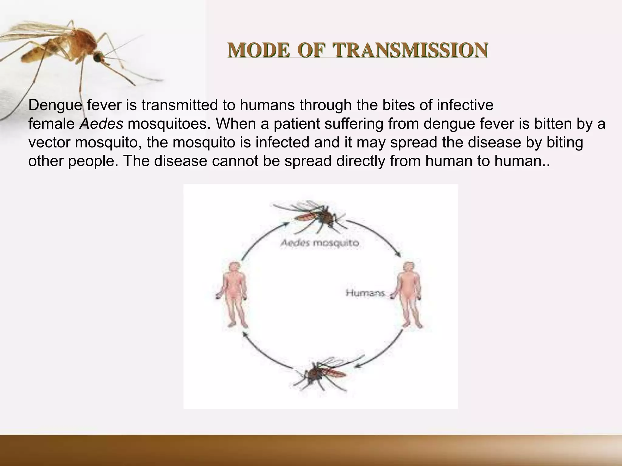 DENGUE VIRUS | PPTX