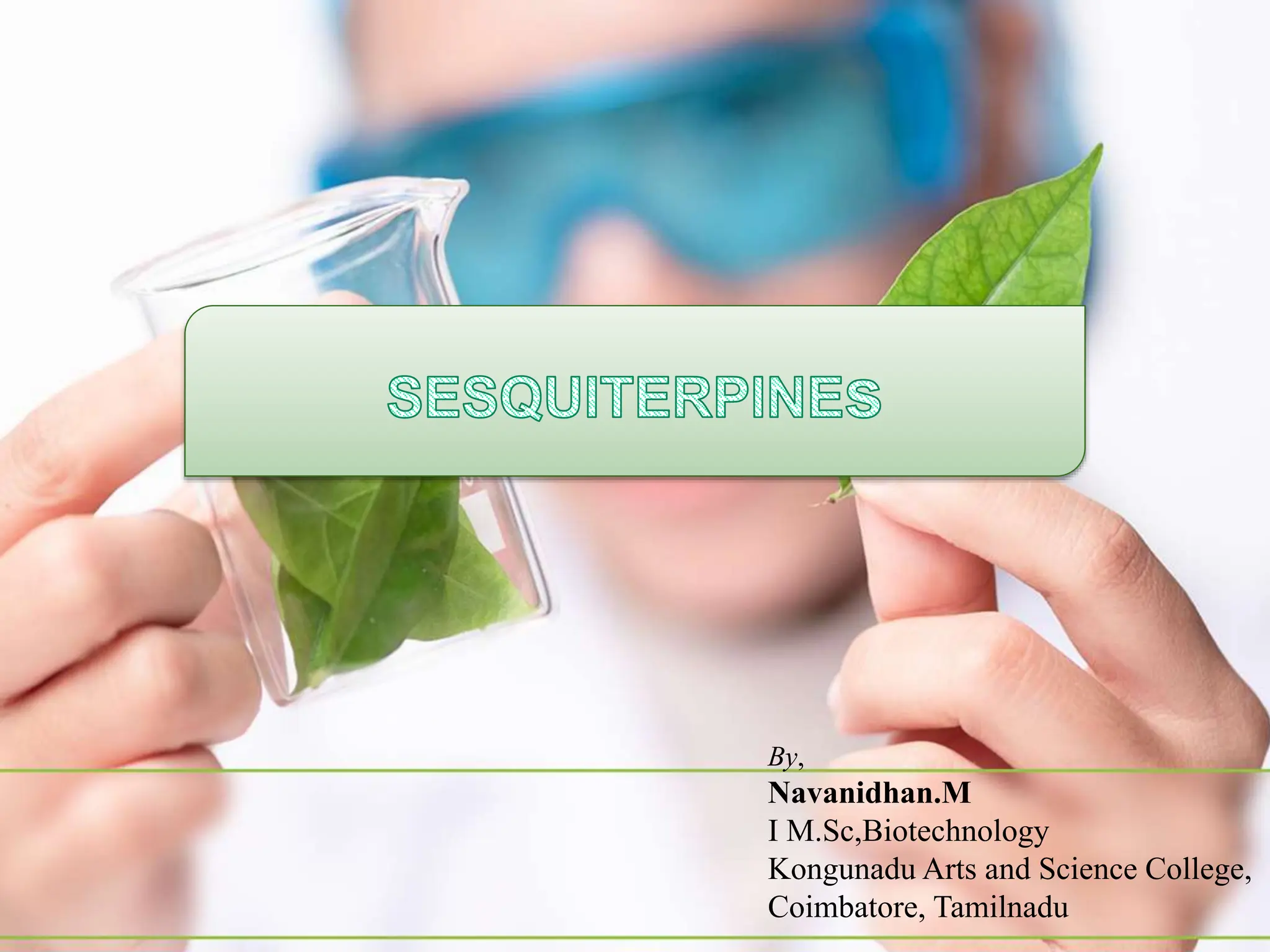 Sesquiterpenes-Isolation and Applications.pptx