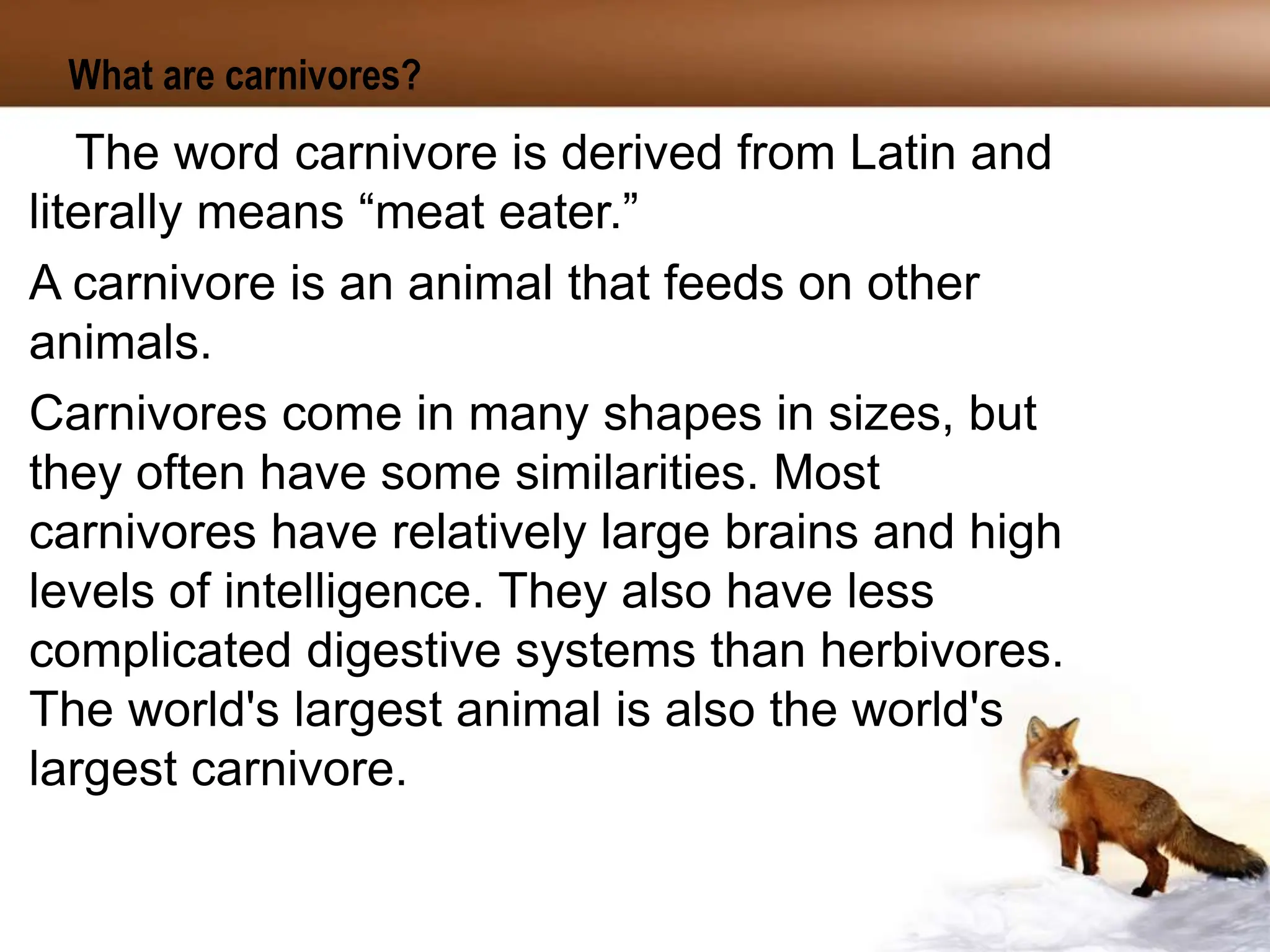 Presentation about carnivores and what they eat.pptx | Reptiles | Pets
