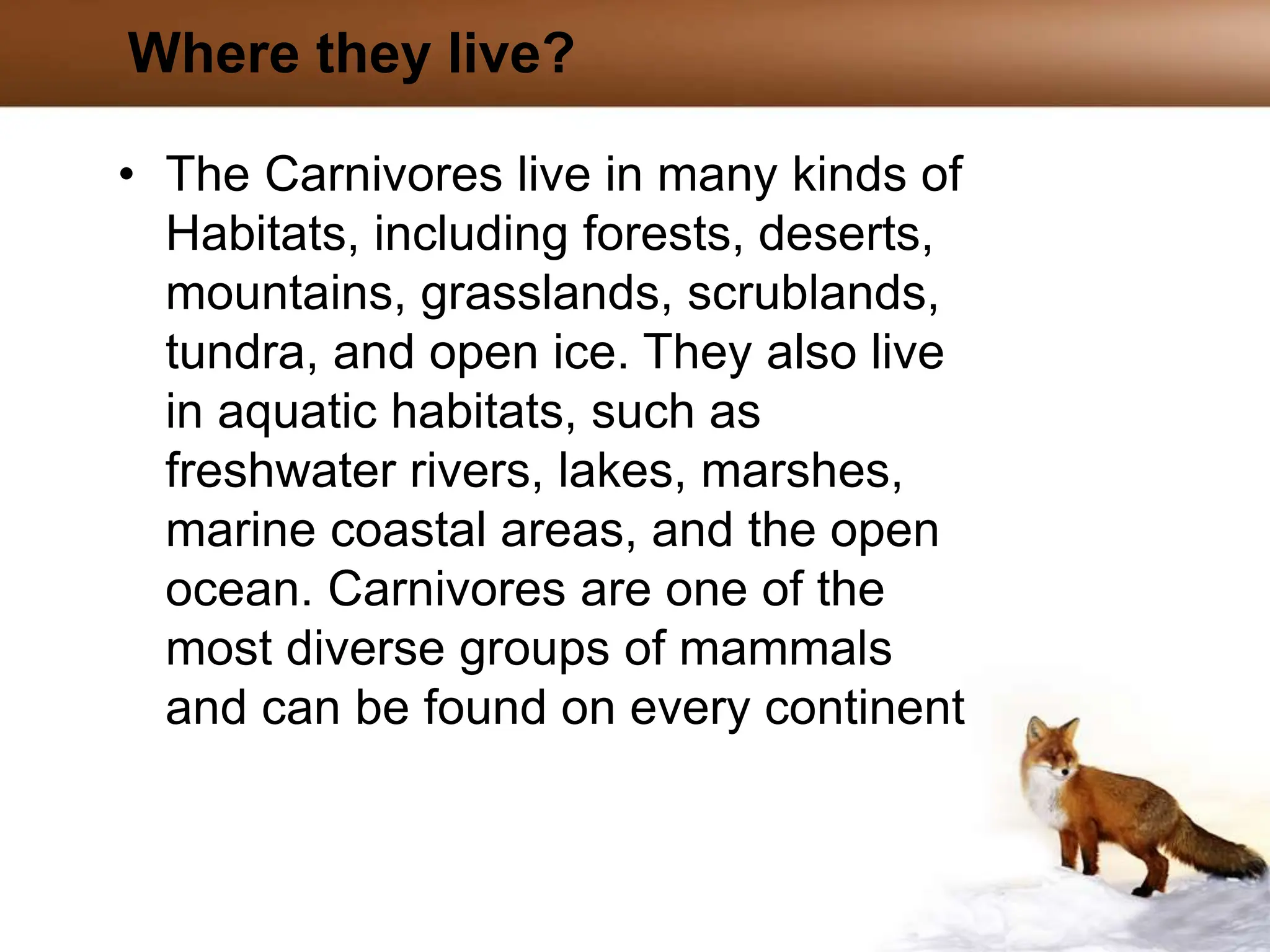 Presentation about carnivores and what they eat.pptx