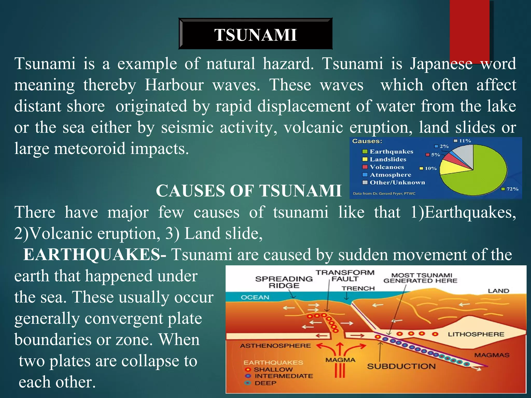 NATURAL DISASTER TSUNAMI AND ITS RISK REDUCTION MEASURES | PPT