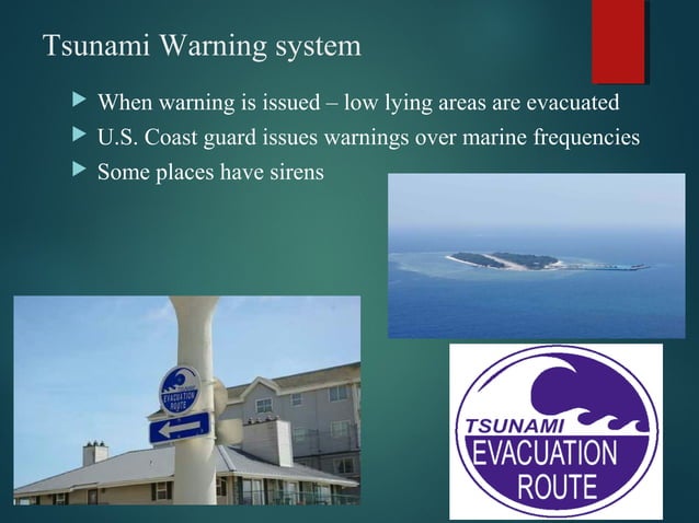 NATURAL DISASTER TSUNAMI AND ITS RISK REDUCTION MEASURES | PPT