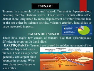 NATURAL DISASTER TSUNAMI AND ITS RISK REDUCTION MEASURES | PPT
