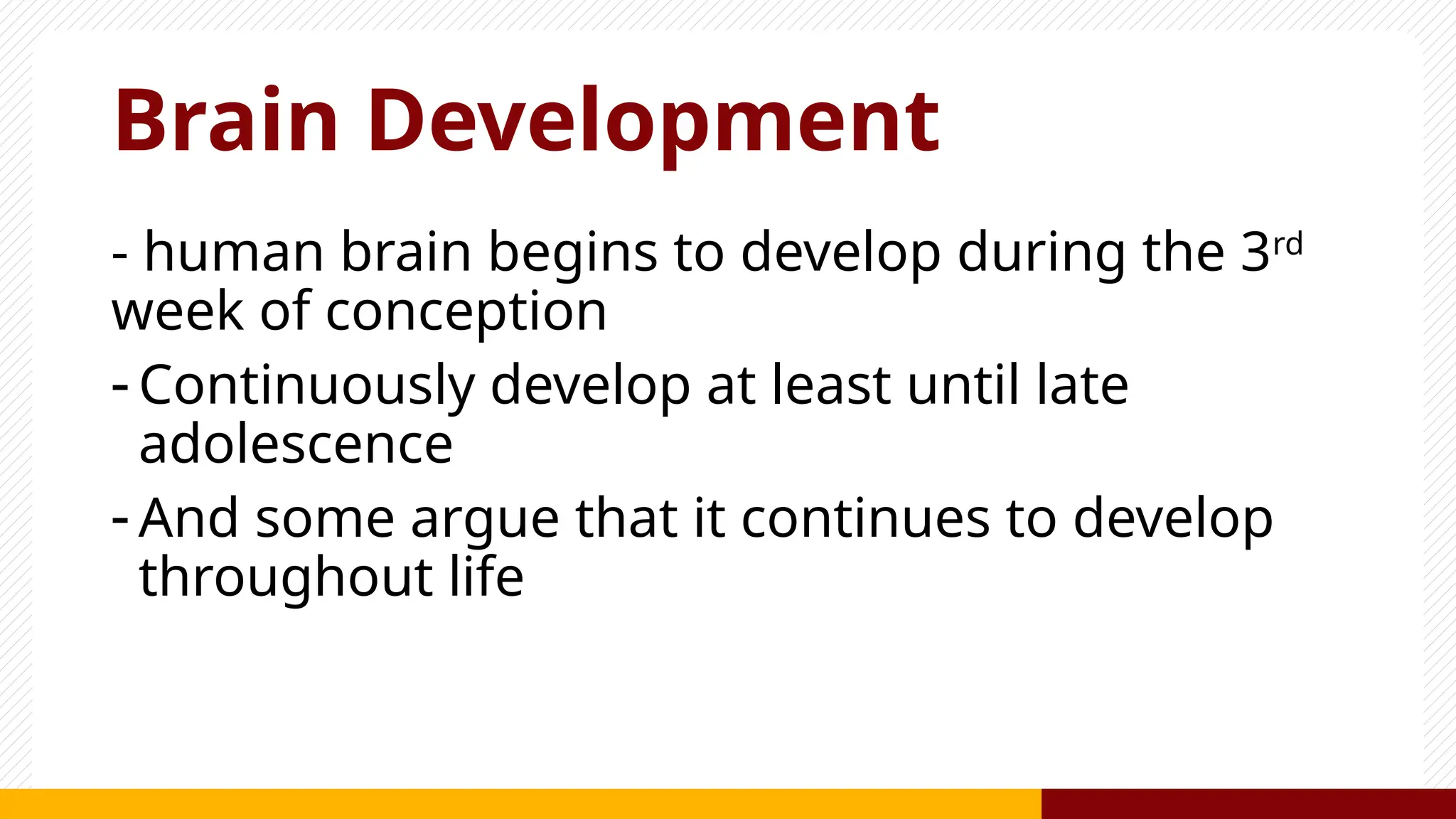 brain development. pptx. child and adolescent | PPT