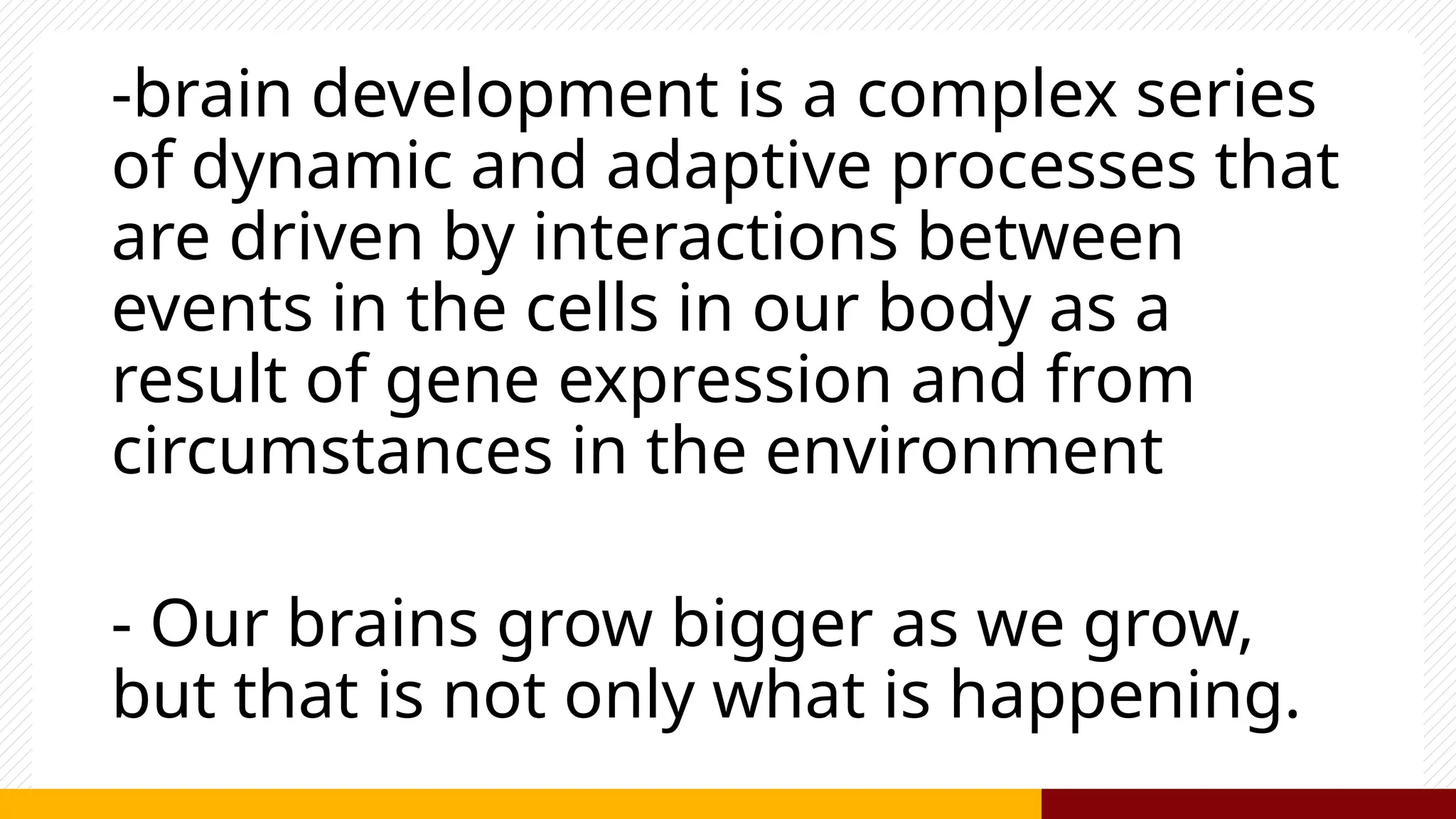 brain development. pptx. child and adolescent | PPT