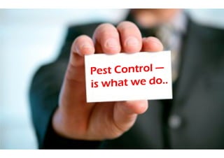 Pest Control | Termite Control | PDF