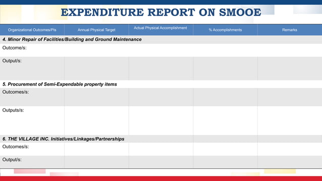 Program Implementation Review and Performance Assessment Template 2024.pptx