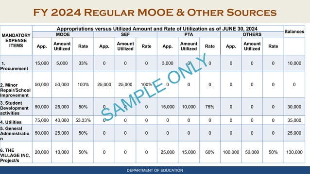 Program Implementation Review and Performance Assessment Template 2024.pptx