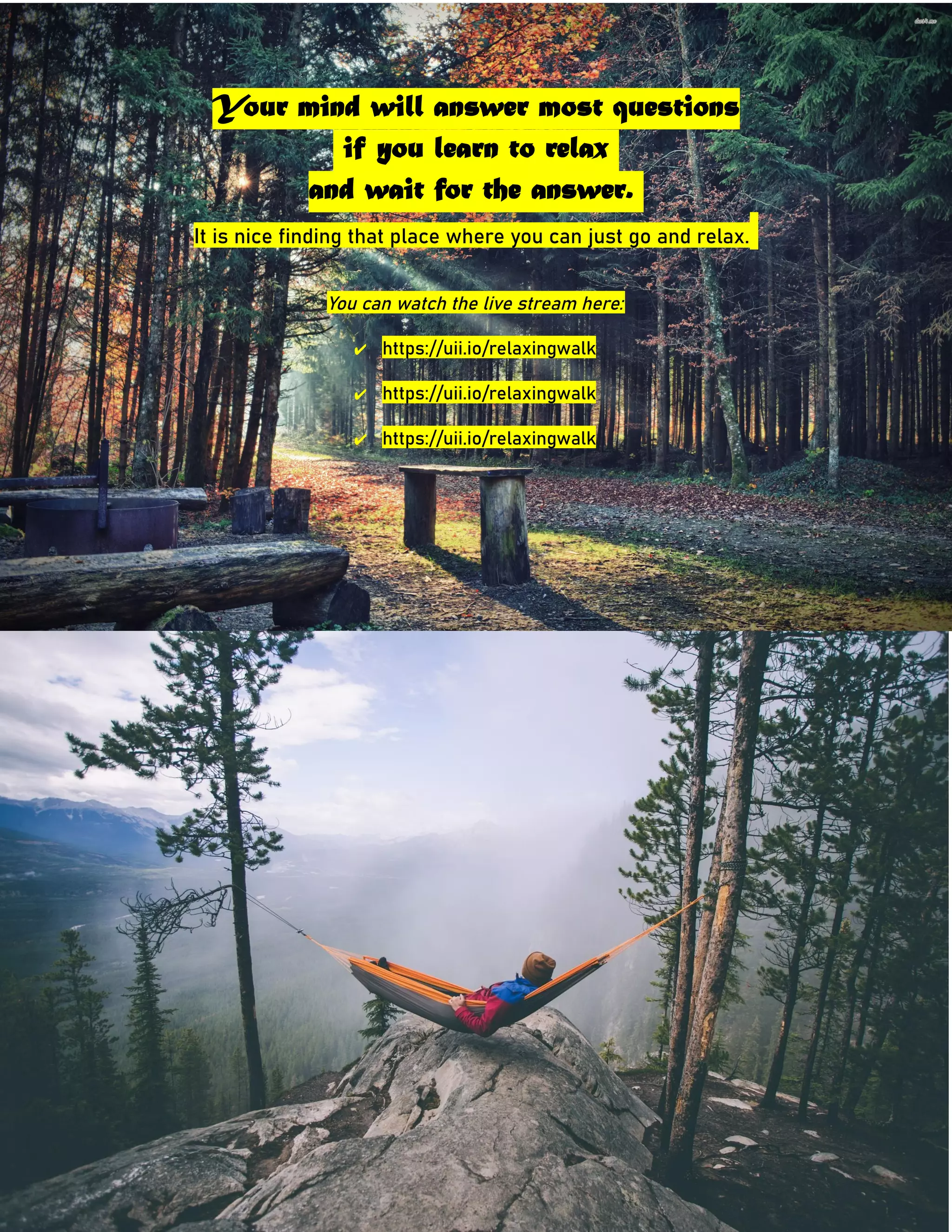 Relaxing Walk | PDF