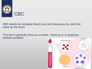 template for your presentation (2).pptx