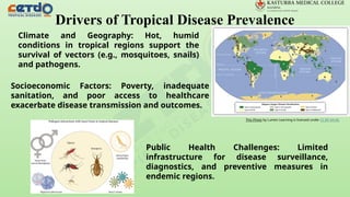 Introduction to Tropical Diseases IETD Jan 2025 | PPTX