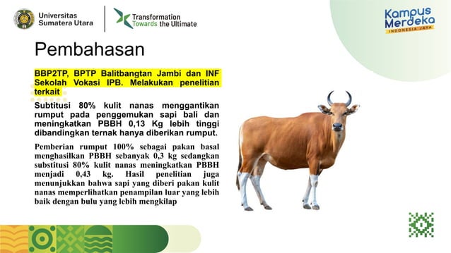 Integrasi Nenas dan Sapi | PPT