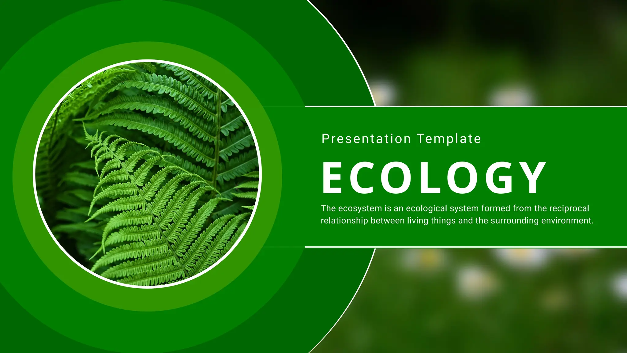 Ecology in science project for students. Good! | PPTX
