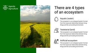 Ecology in science project for students. Good! | PPTX