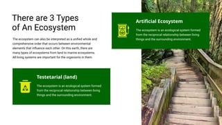 Ecology in science project for students. Good! | PPTX