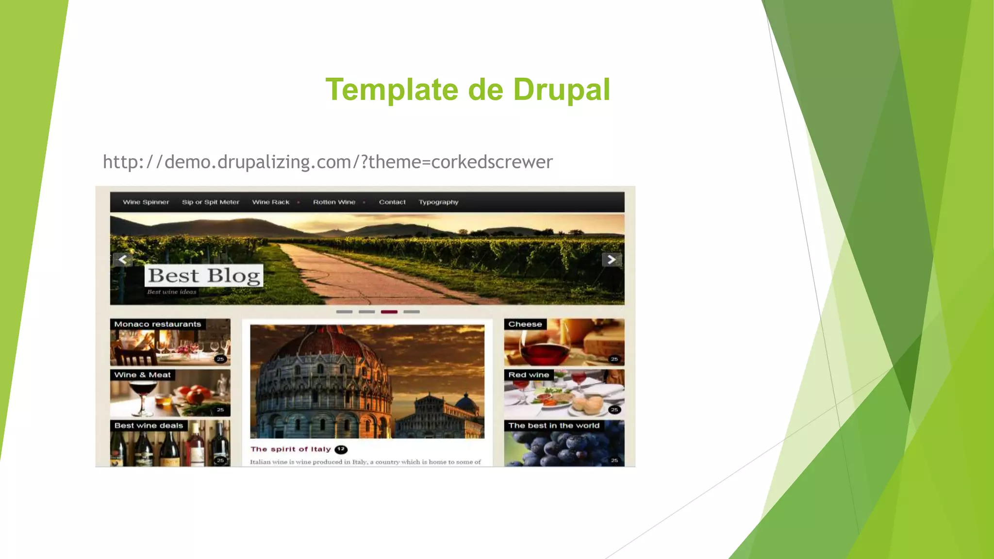 Template webcs + cms | PPT