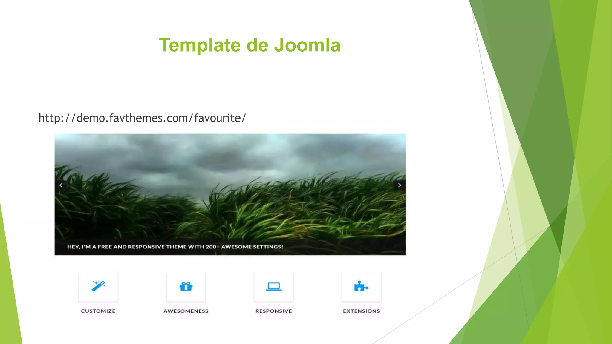 Template webcs + cms | PPT