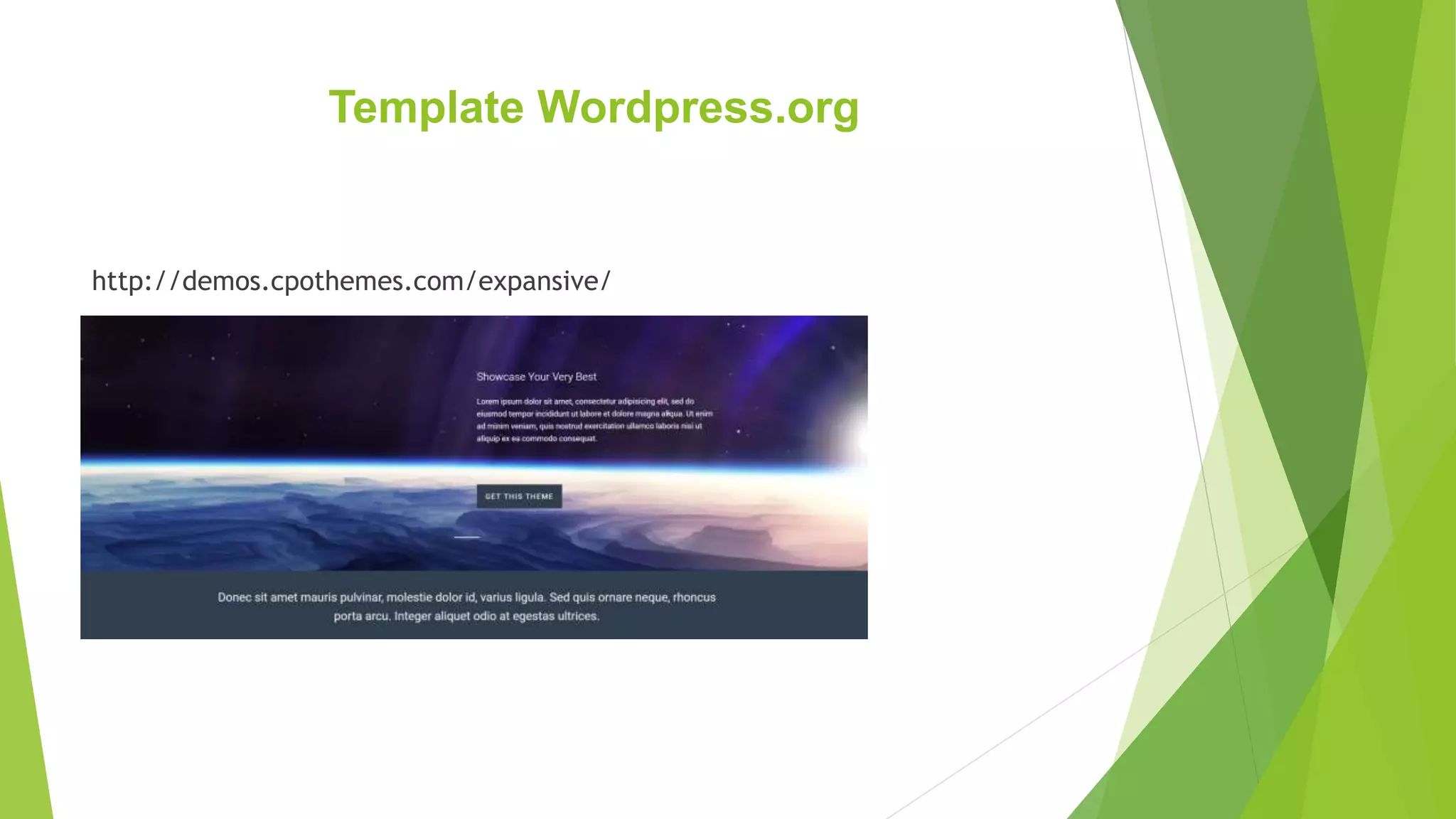 Template webcs + cms | PPT