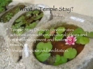 Temple Stay | PPT