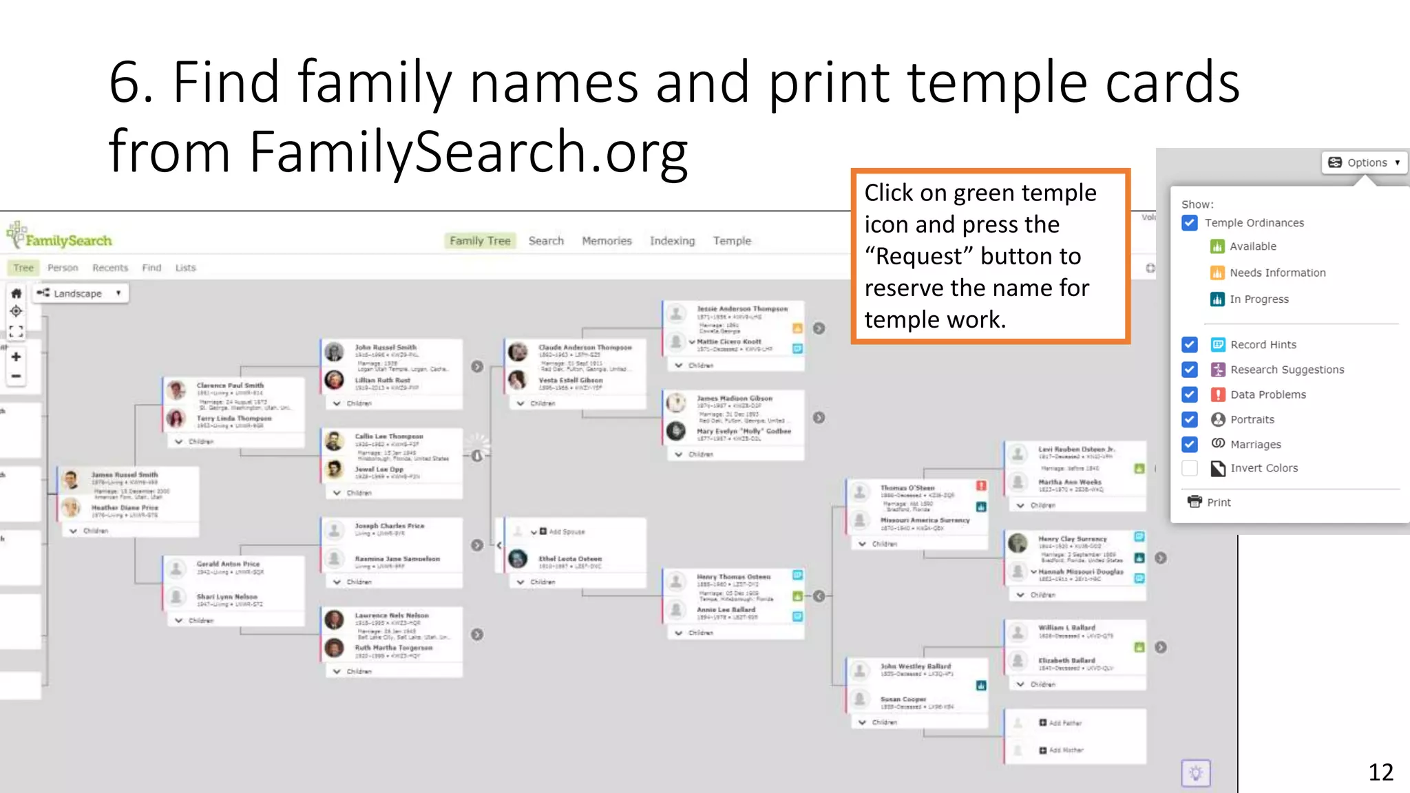 Temple and Family History Plan - 5th Sunday Lesson | PPTX
