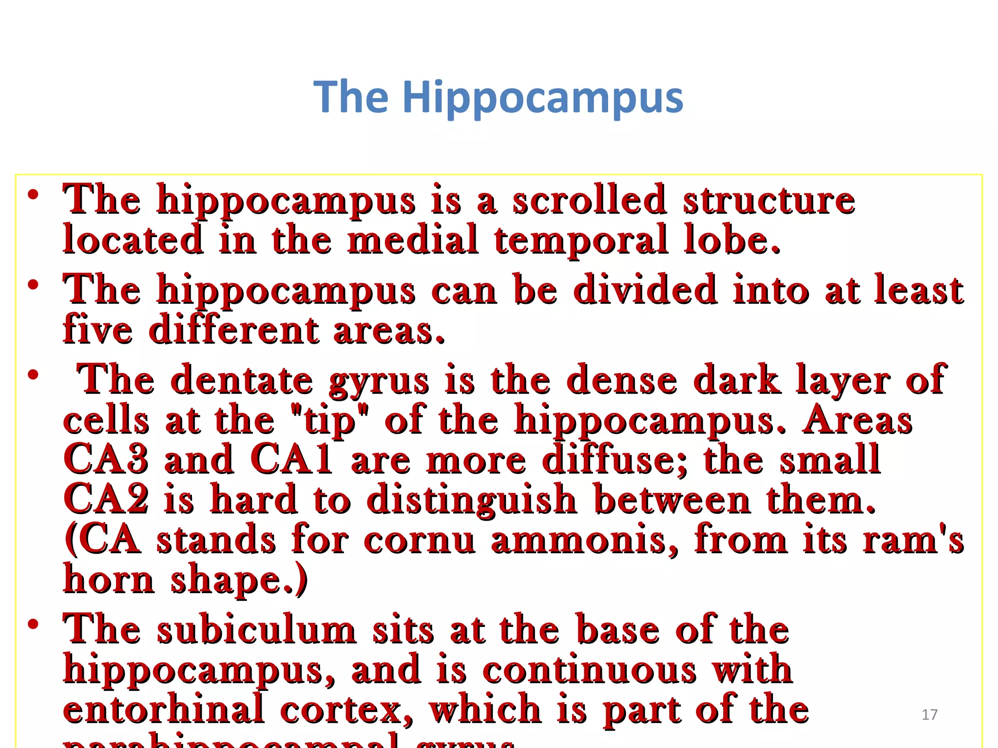 Temporal lobe ppt | PPT