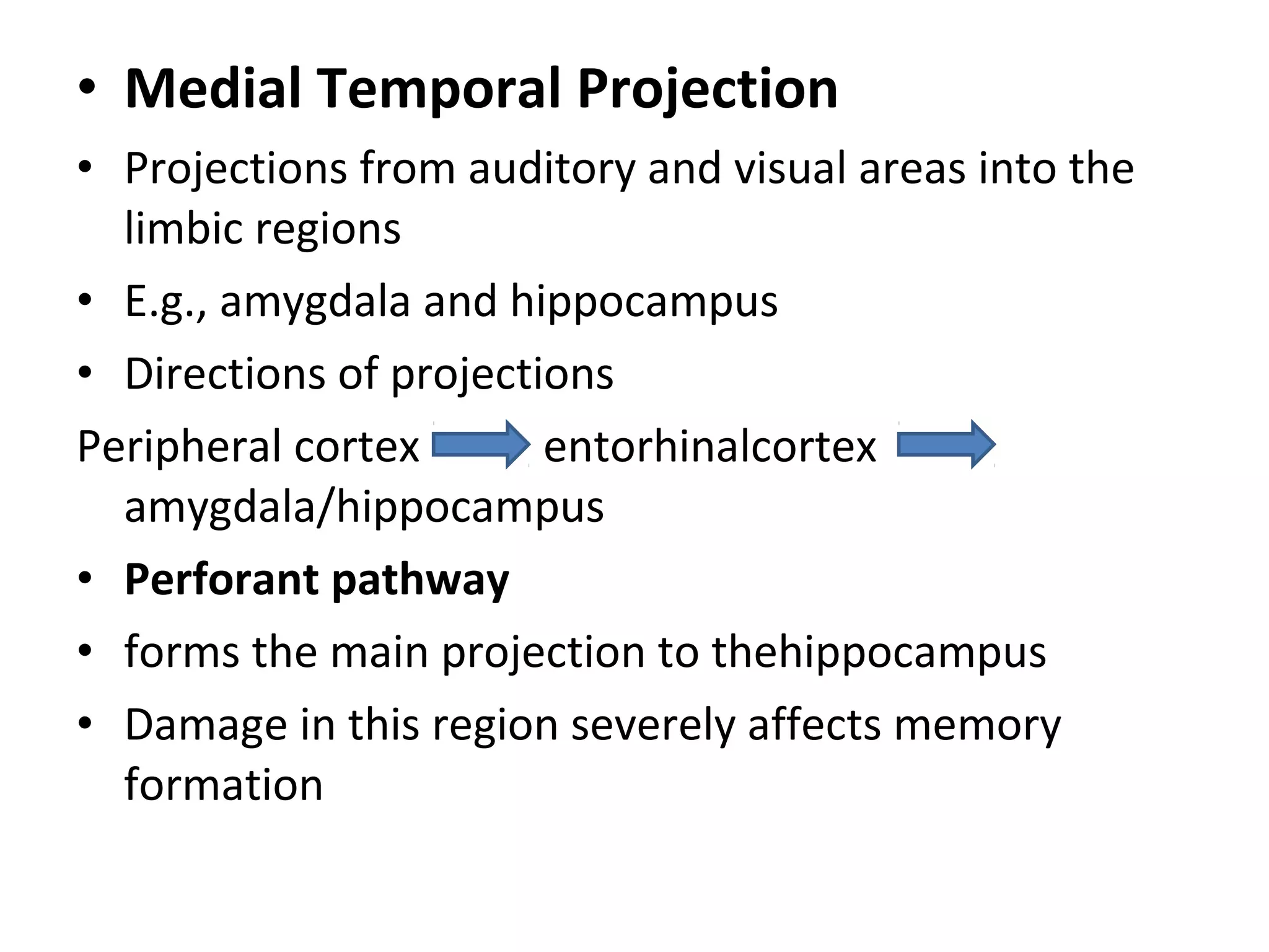 Temporal lobe ppt | PPT