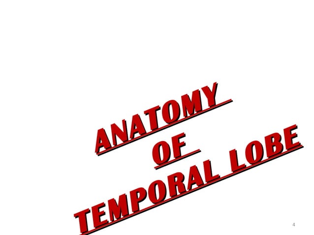 Temporal lobe ppt | PPT | Brain and Nervous System Disorders | Diseases ...