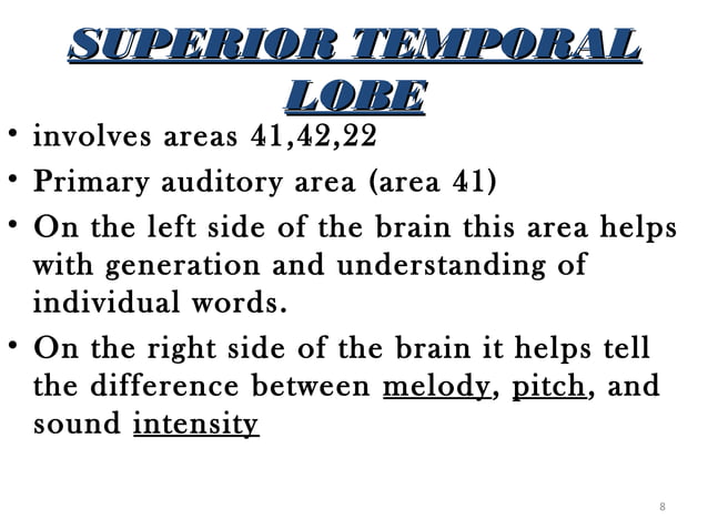 Temporal lobe ppt | PPT | Brain and Nervous System Disorders | Diseases ...